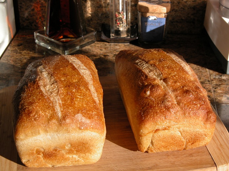 Wild Yeast Sourdough Bread
